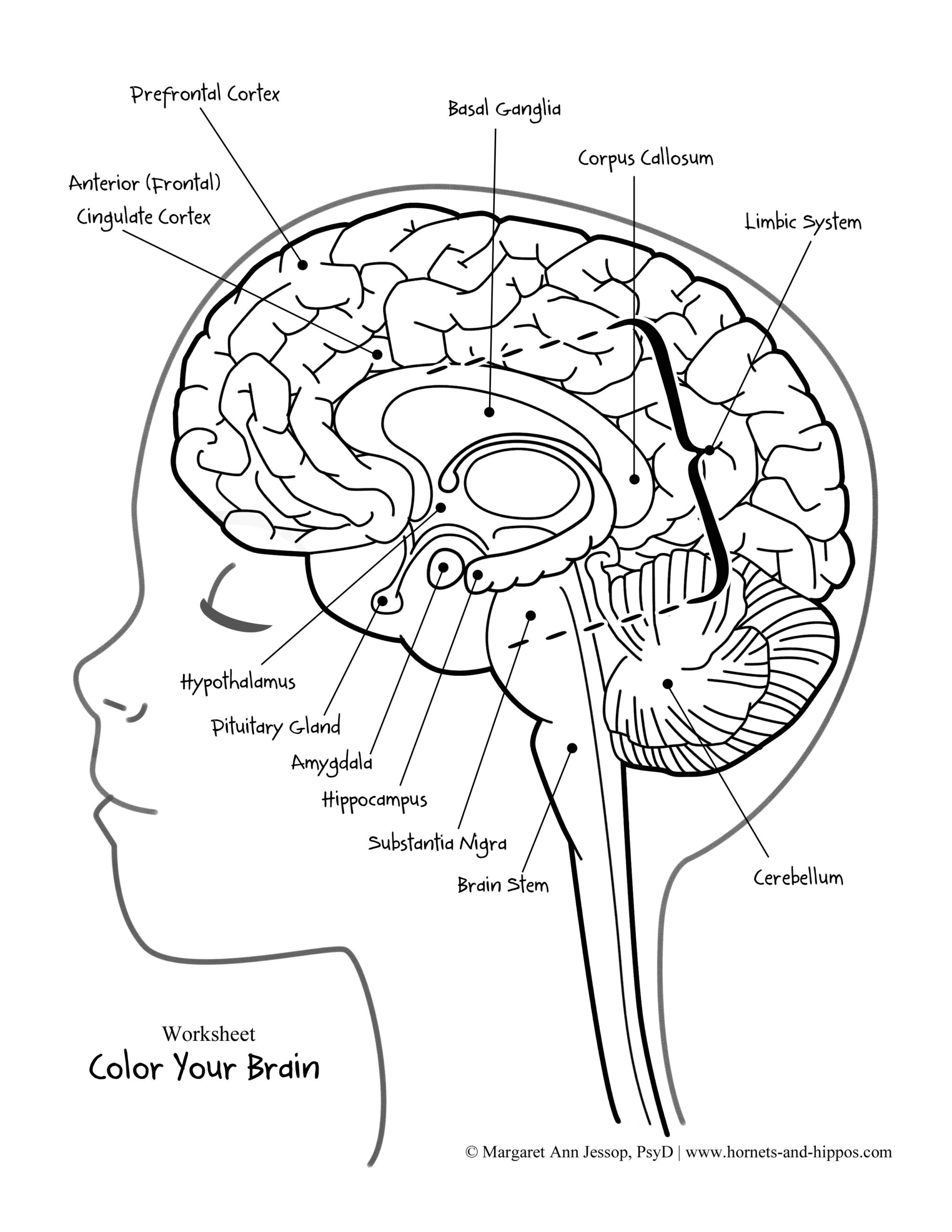 Printables – Margaret Ann Jessop, PsyD